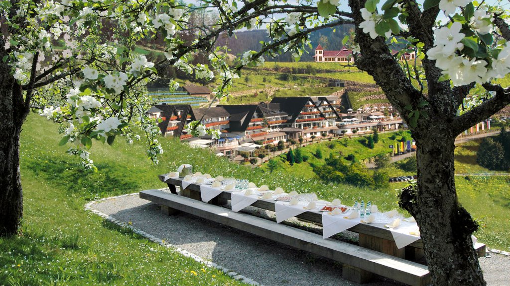 Events & celebrations at the 5 * S Hotel Dollenberg - Relais & Châteaux ...