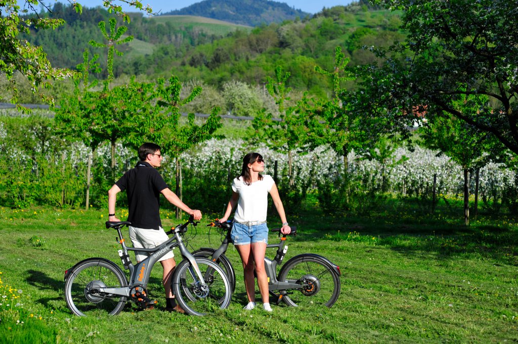 Aktivurlaub im Schwarzwal - Relais & Châteaux Hotel Dollenberg