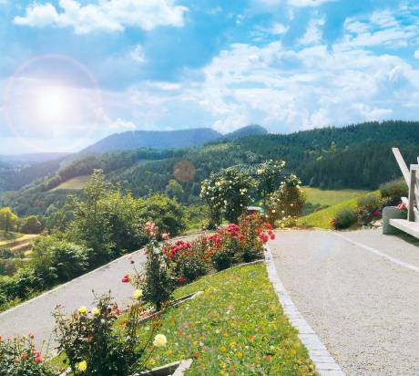 Wanderurlaub und Biken im Schwarzwald - Relais & Châteaux Hotel Dollenberg