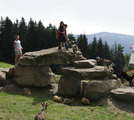 About our Hotel Dollenberg: Family holiday - Relais & Châteaux Hotel ...