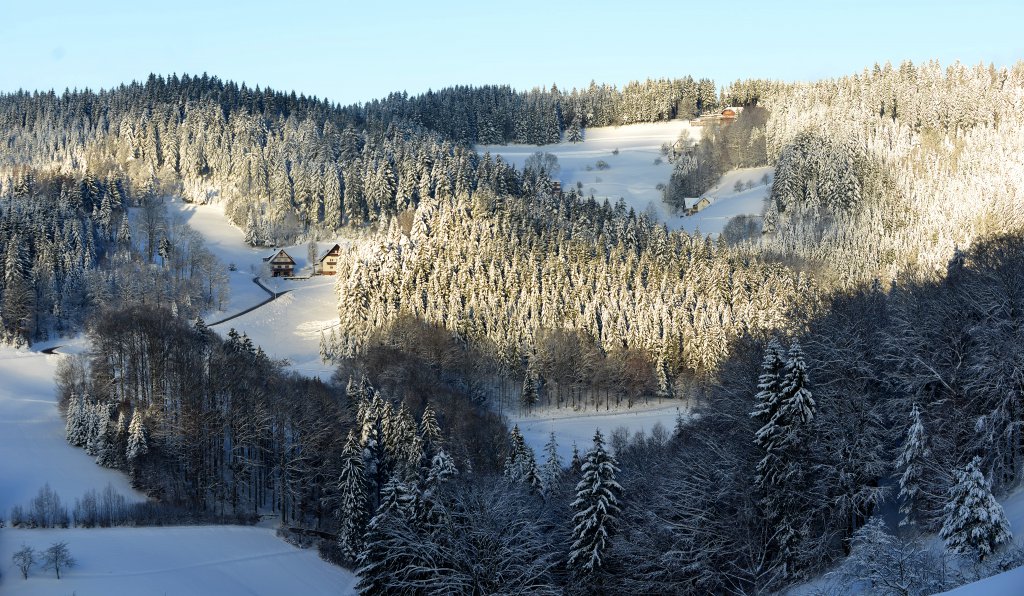 Winterurlaub im Schwarzwald - Relais & Châteaux Hotel Dollenberg