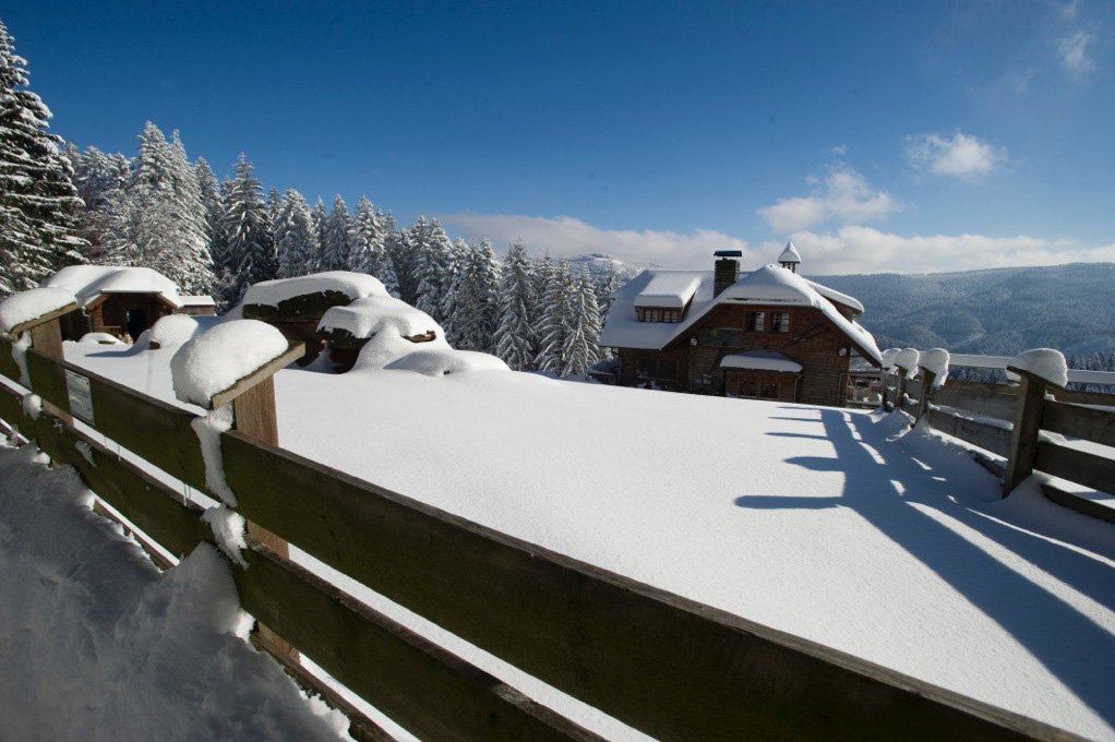 About our Hotel Dollenberg: Family holiday - Relais & Châteaux Hotel ...