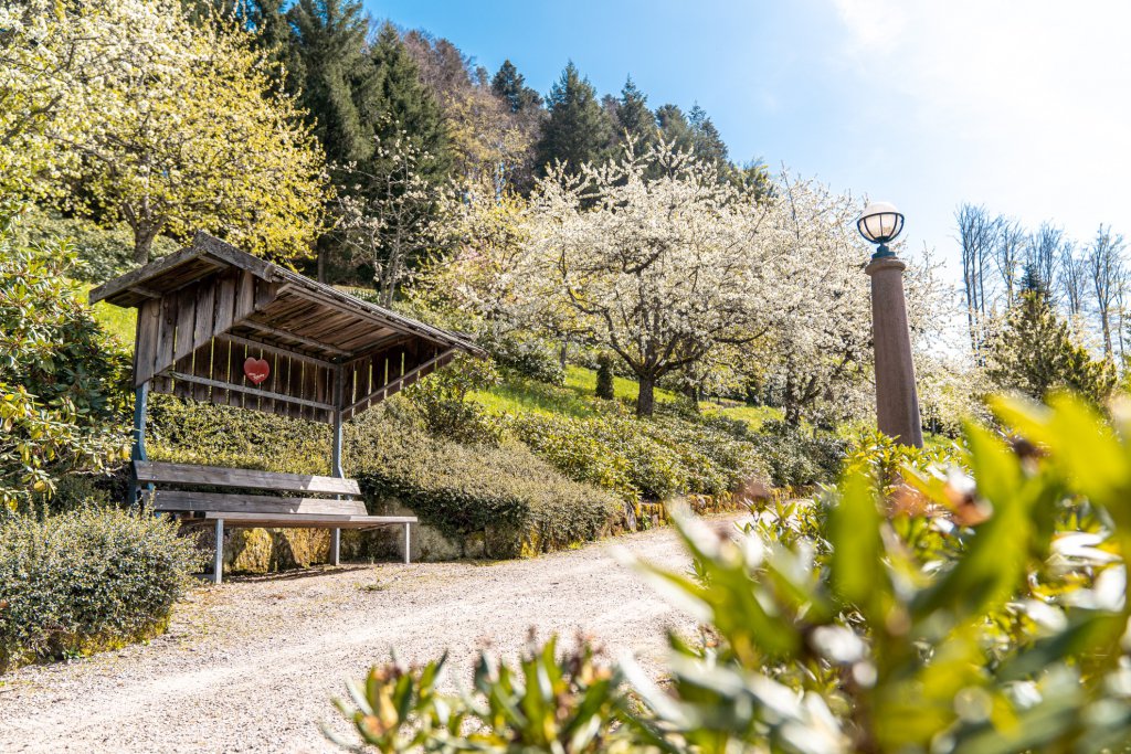 Über unser Hotel: Urlaub erster Klasse - Relais & Châteaux Hotel Dollenberg