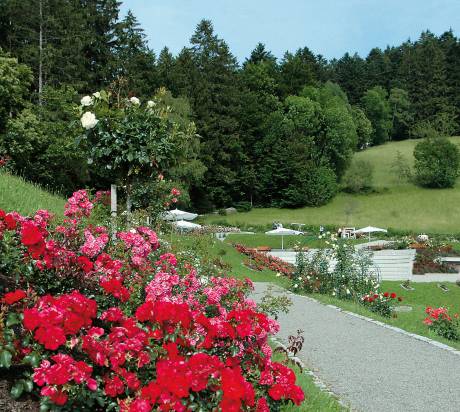 Bilder und Impressionen - Relais & Châteaux Hotel Dollenberg