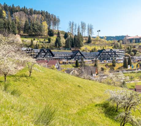 Bilder und Impressionen - Relais & Châteaux Hotel Dollenberg